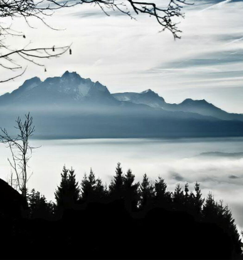 Team - Kissling werk statt ware AG